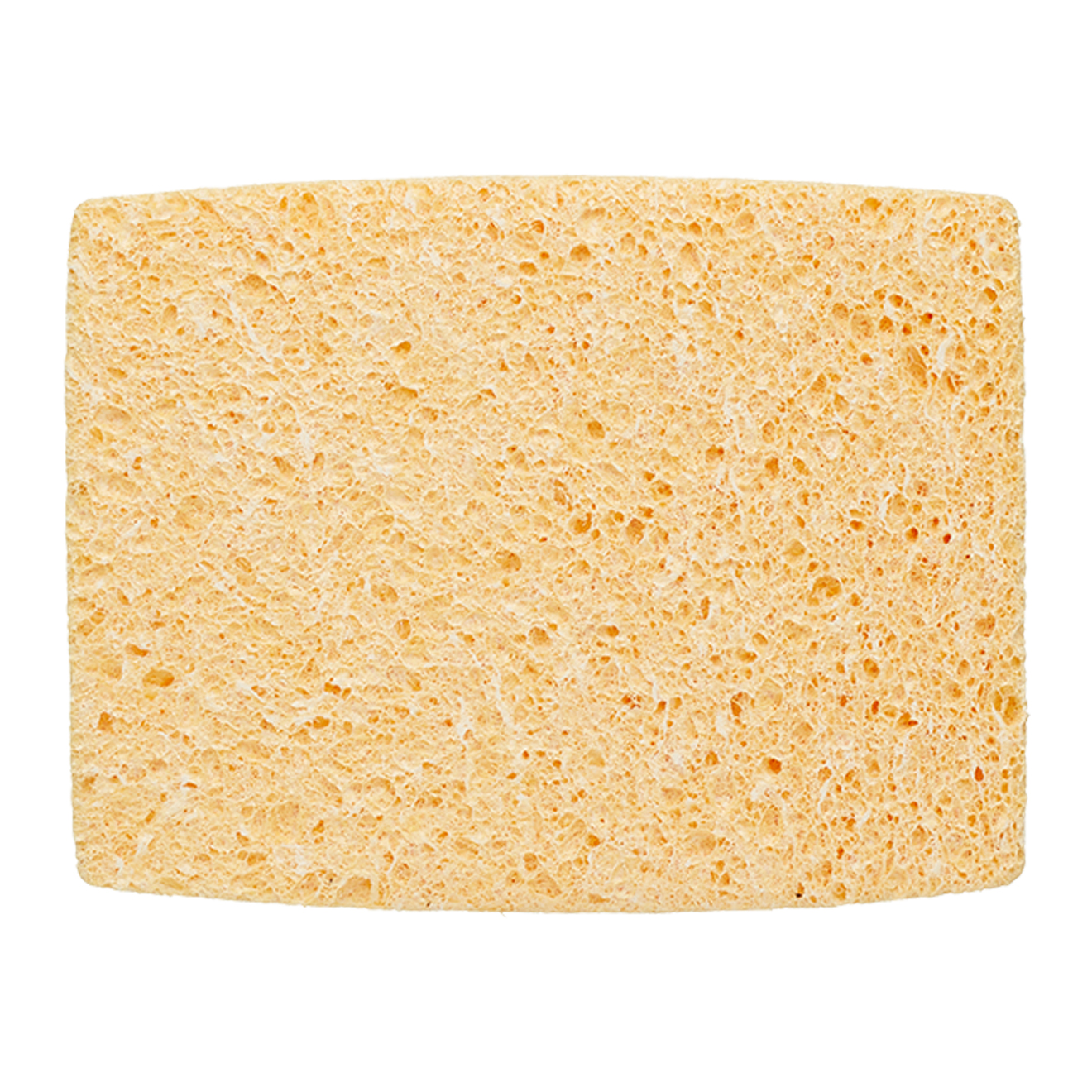 ProDec Large Cellulose Decorating Sponge | Products | ProDec